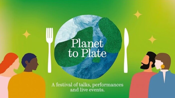 Showcasing ideas for sustainable Zimbabwean community food projects ...